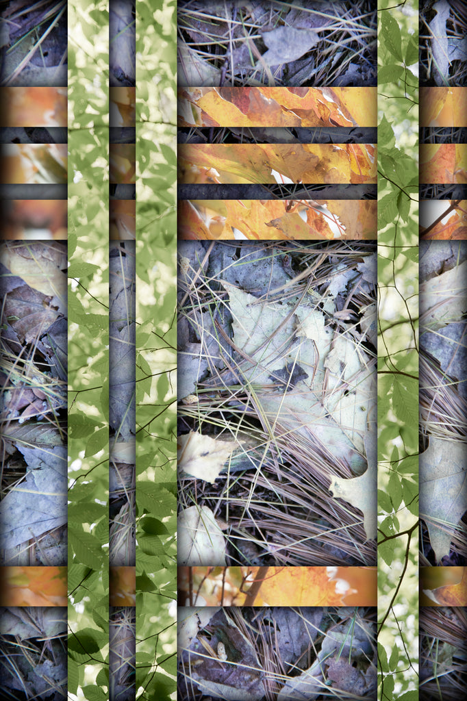 Transitions: Tony Kay: Strata - Leaves – Abrams Claghorn Shop